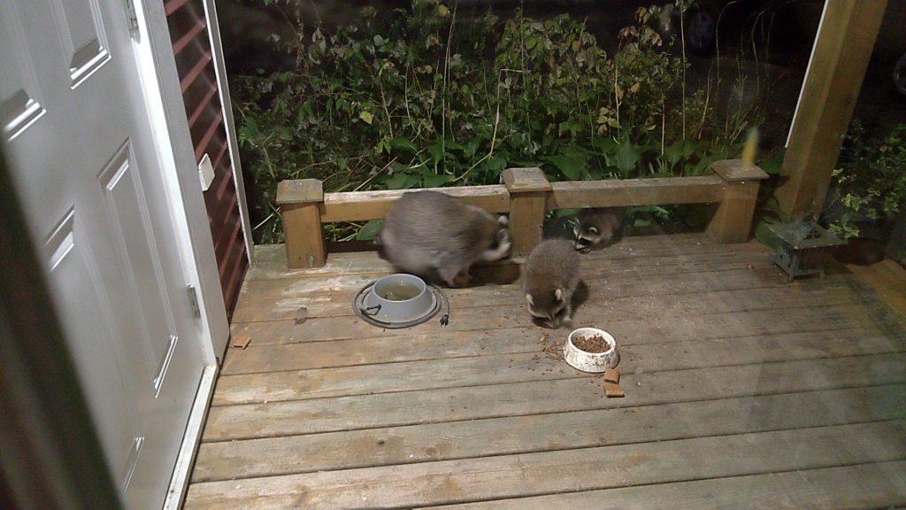 Targeting in Remote Viewing – Psionic Social Club